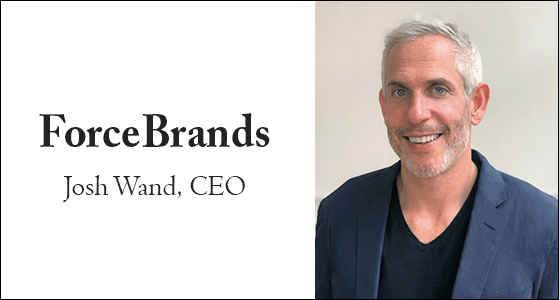 ForceBrands, strategic talent acquisition firm